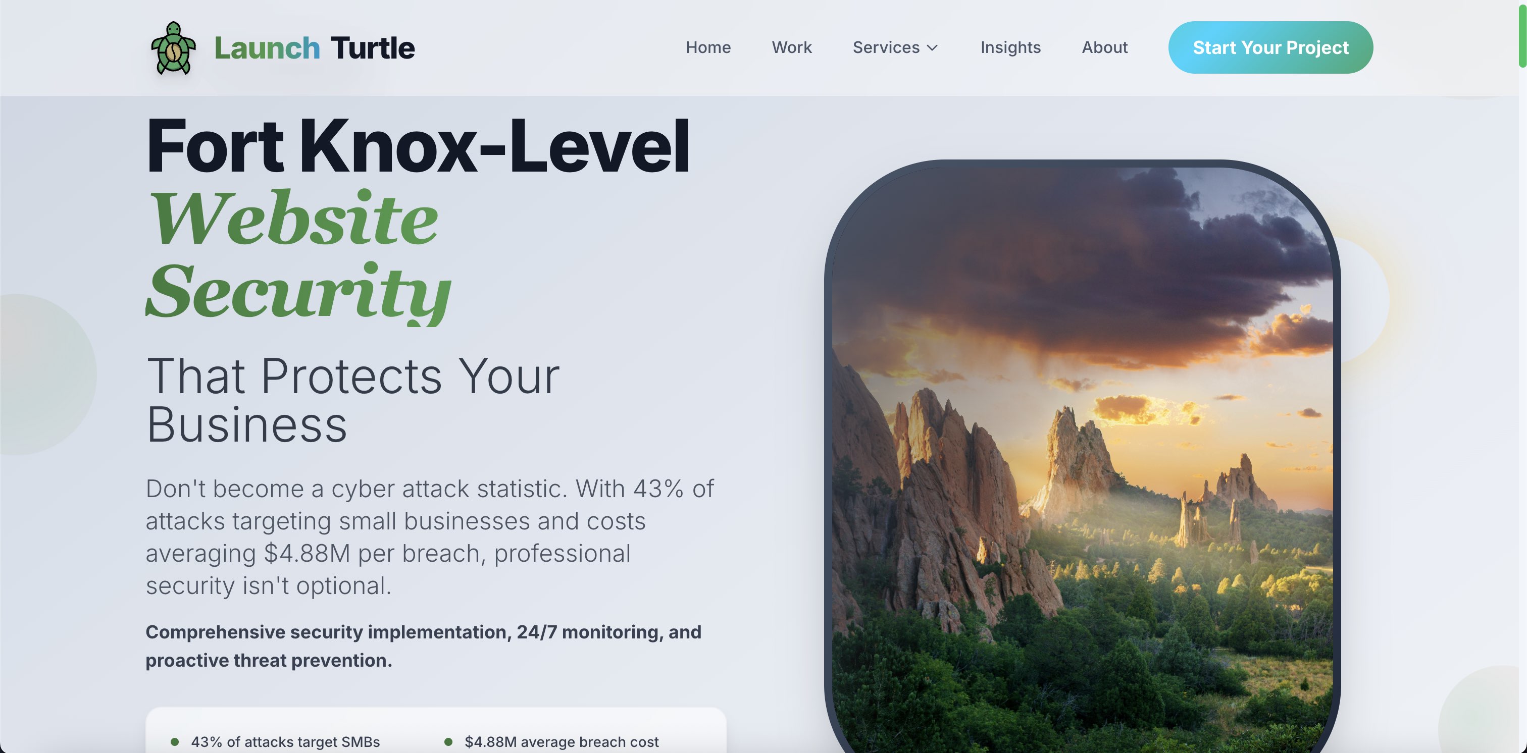 Website Security Implementation Services | Launch Turtle